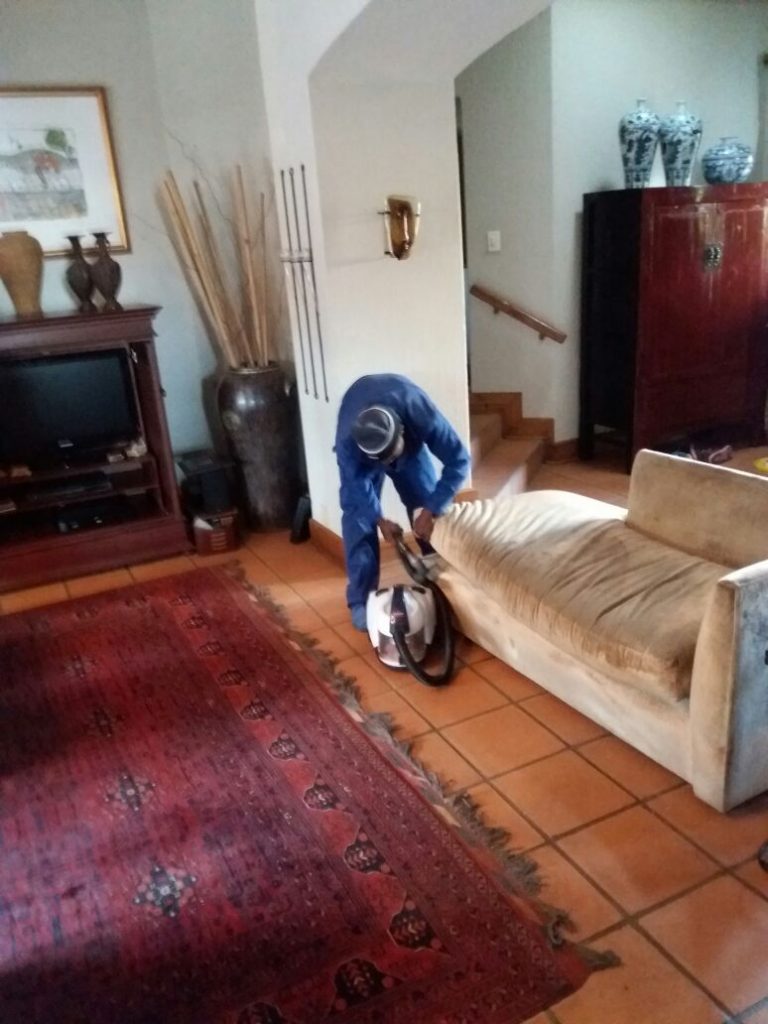 GALLERY – Carpet Genie