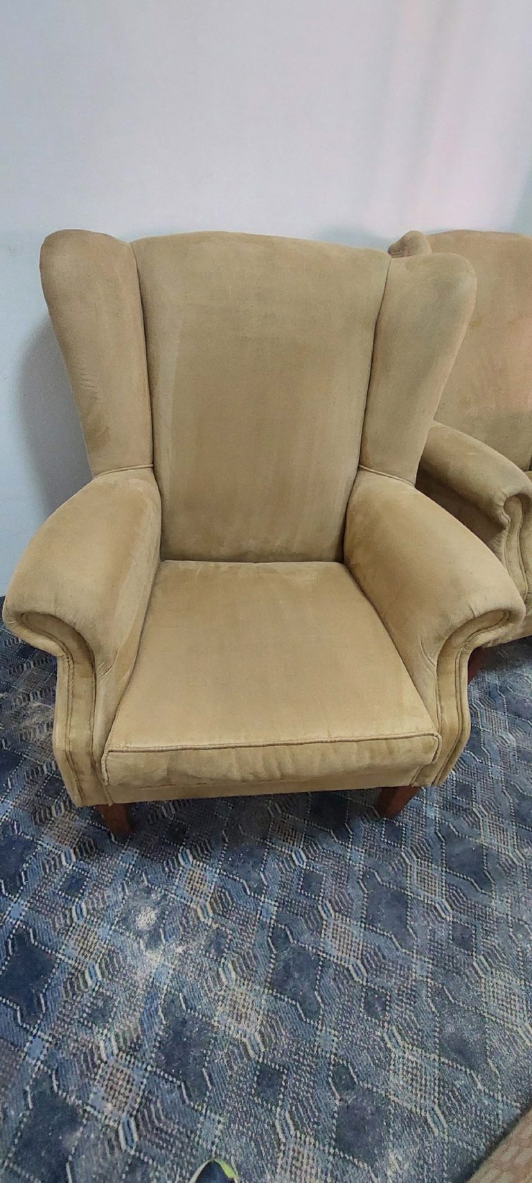 GALLERY – Carpet Genie